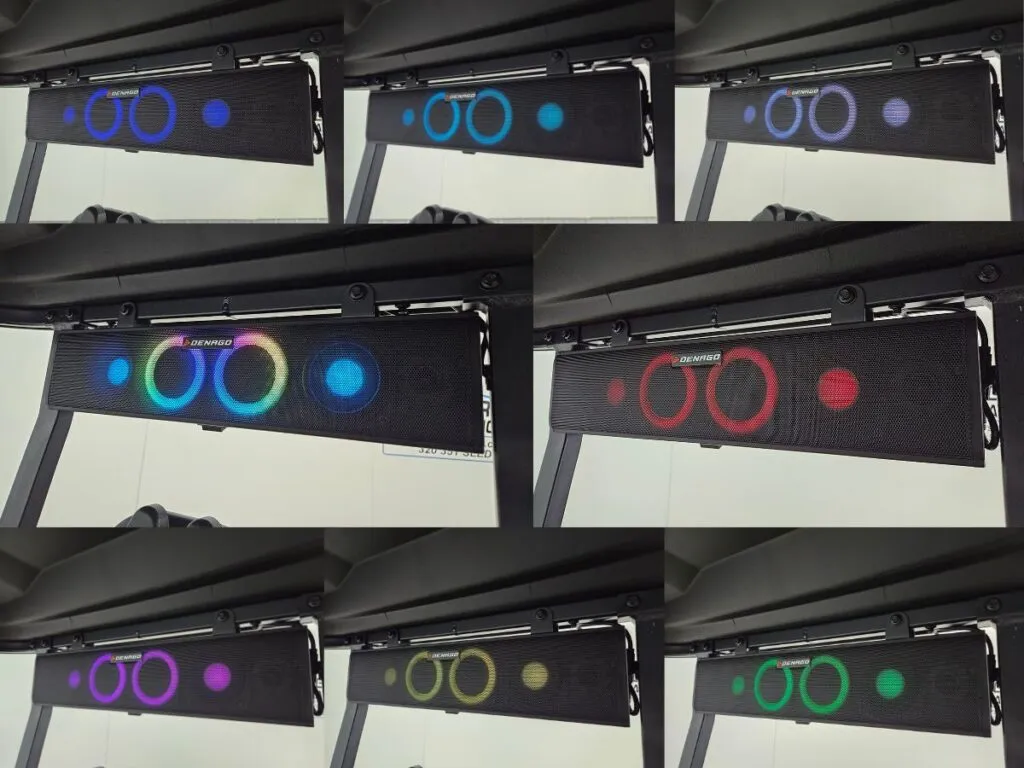 2025 Denago Rover XL Lithium Ion Golf Cart, Black - Winters Recreation